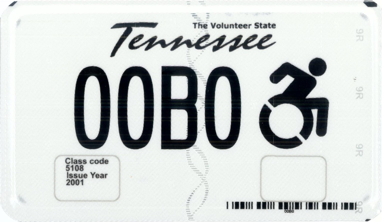 Disabled Driver Plates