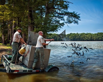 TWRA Fish Hatcheries